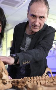 Field of Vampires – Caravan